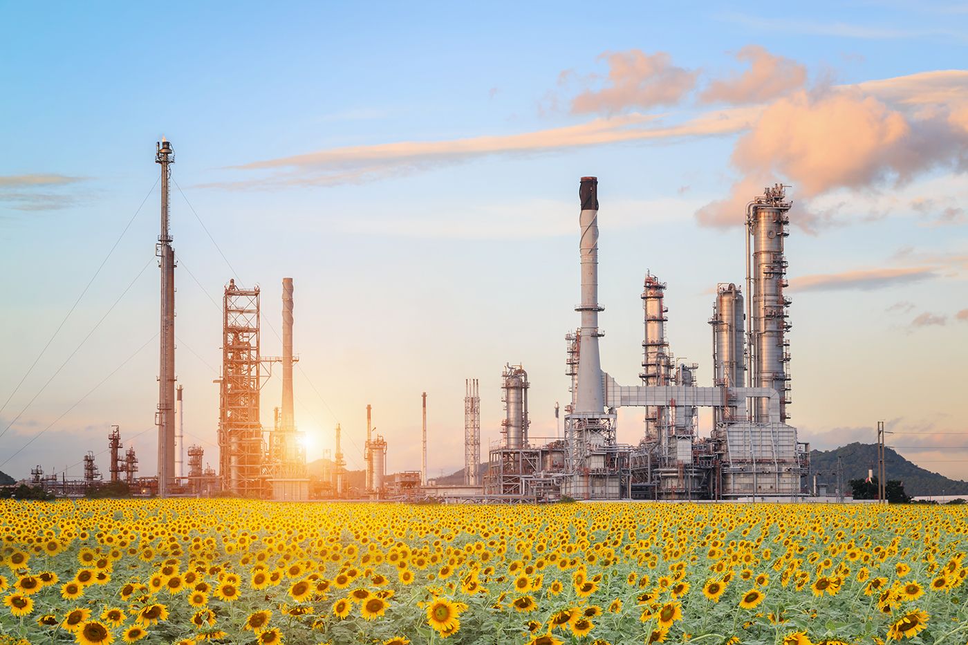 Energy Prices | OPIS