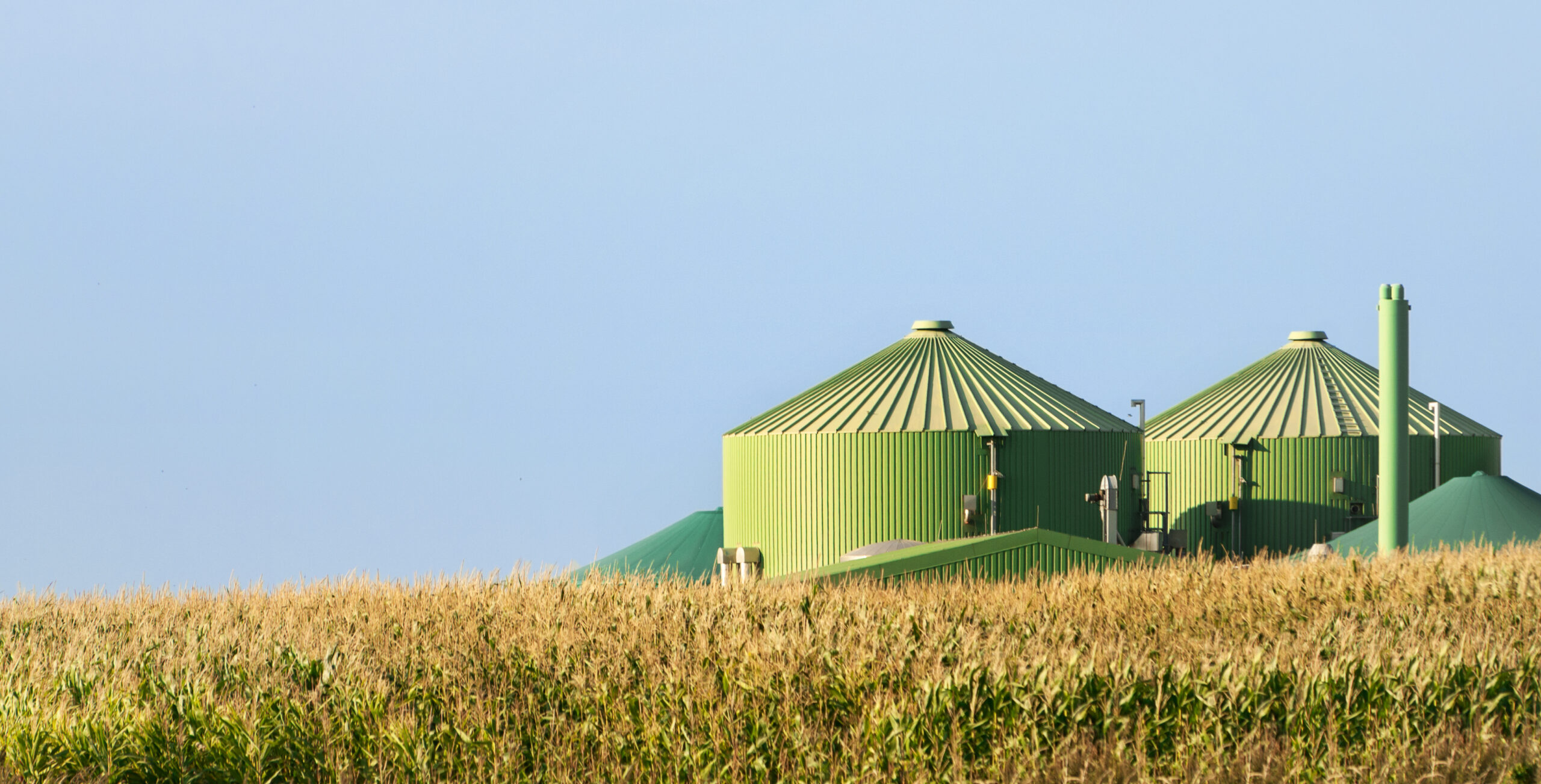 RFS, RINs and Biofuels Forum Preview - OPIS, A Dow Jones Company