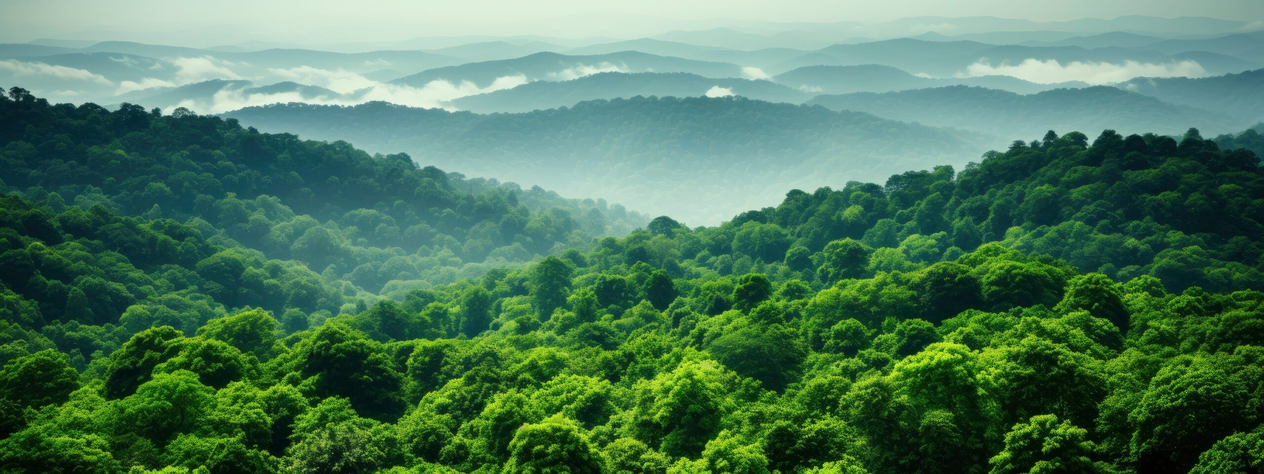 California’s C&I Rulemaking Enters a Defining Phase: What the ISOR ...