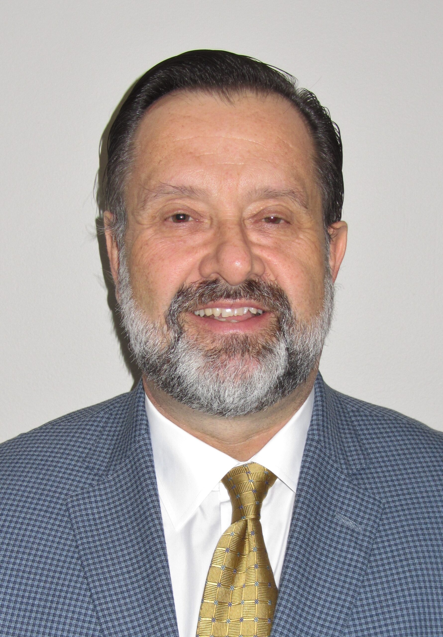 Bunker Fuels in Transition: An Expert's View on Decarbonization and the ...